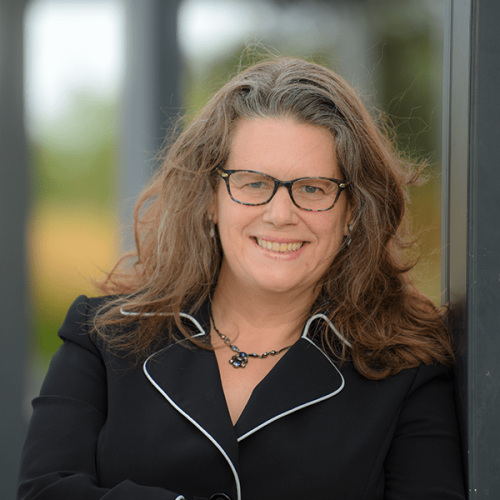 The Steadman Group - The Steadman Group